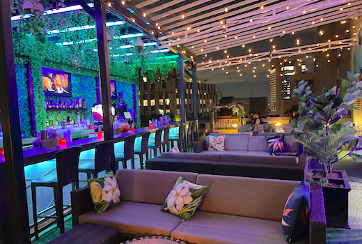 $59 For A Rooftop Bottomless Brunch For Two, FiDi (a $98 value ...